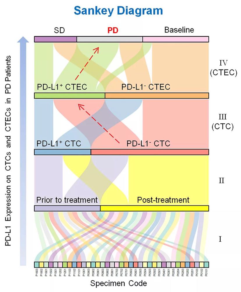 PD-L1+ CTEC及CTC在肺癌NSCLC中的不同重要临床意义_吴柏霖_主治医师_爱问健康