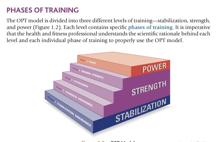 NASM（美国国家运动医学会）OPT训练模型——整合式训练_周倩_主治医师_爱问健康